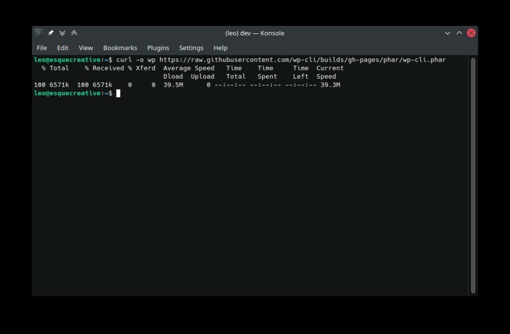 How to install WP CLI on Ubuntu - Esque Creative