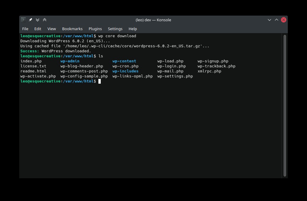 How to install WP CLI on Ubuntu - Esque Creative
